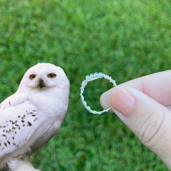 Jewelry | Hedwig Inspired Ring | Poshmark
